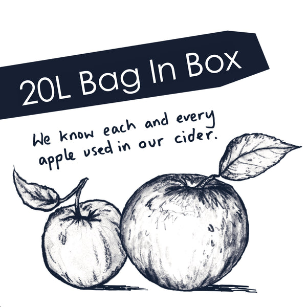 20L Bag in Box Cider | Still Cider Boxes | Kentish Pip